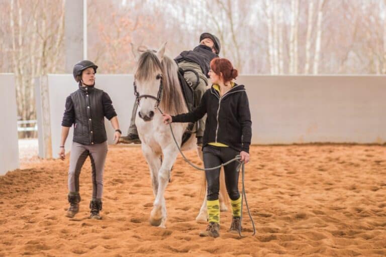 Equine-Assisted Therapy: Benefits and Techniques Explained