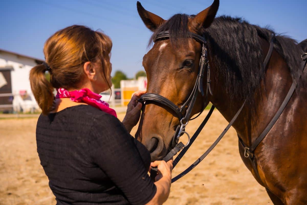 Equine-Assisted Therapy: Benefits and Techniques Explained
